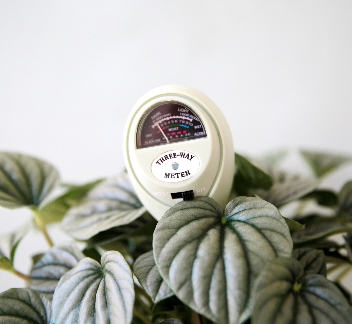 3 in 1 Moisture Meter - Blue | Plant Party