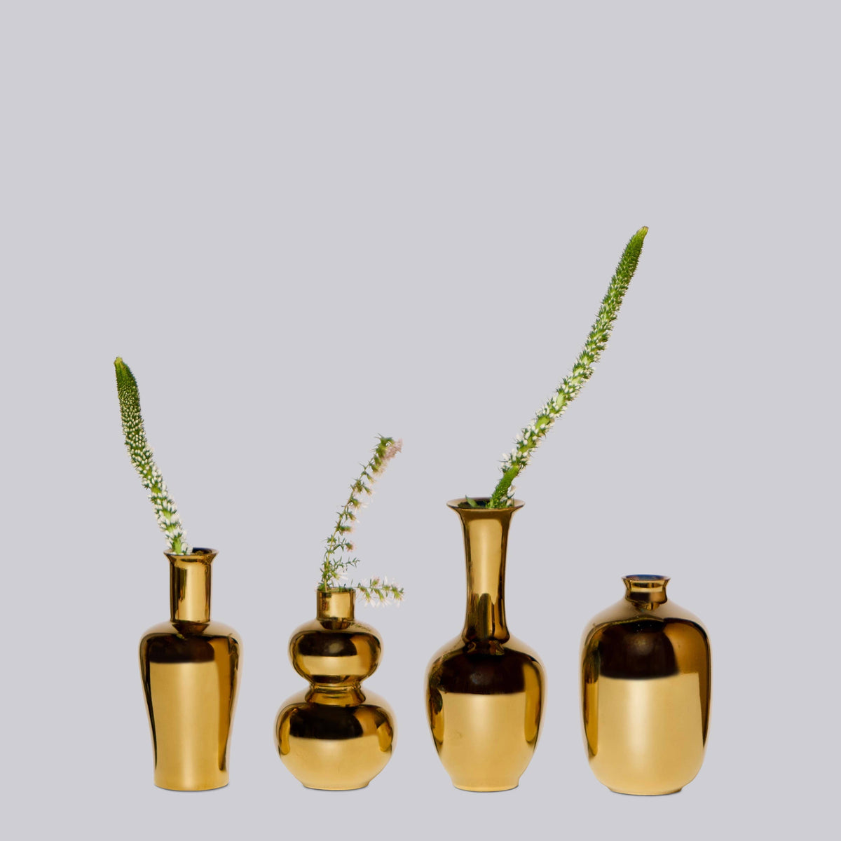 Middle Kingdom - Metallic Gold Porcelain Mini Vase: MV1 | Plant Party
