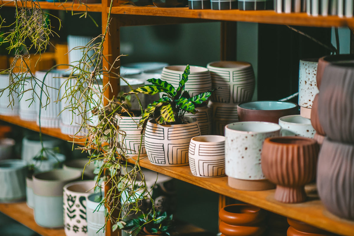 Private Shop | Plant Party