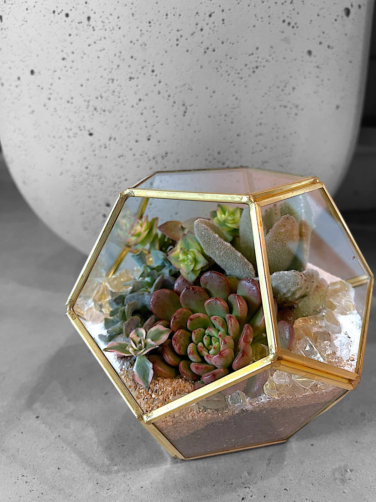 Gold Geo Terrarium | Plant Party