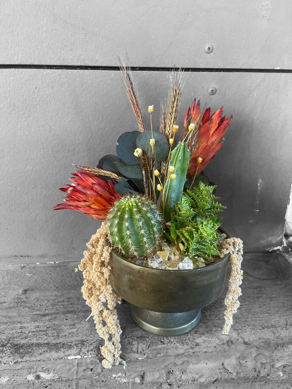 Moody Cacti Arrangement | Plant Party
