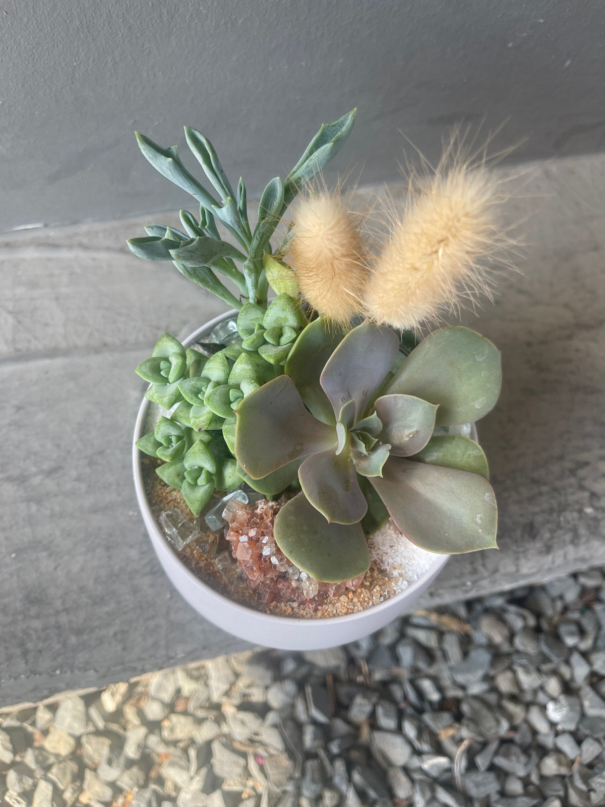 Succulent Garden in Pastel Porcelain Planter | Plant Party