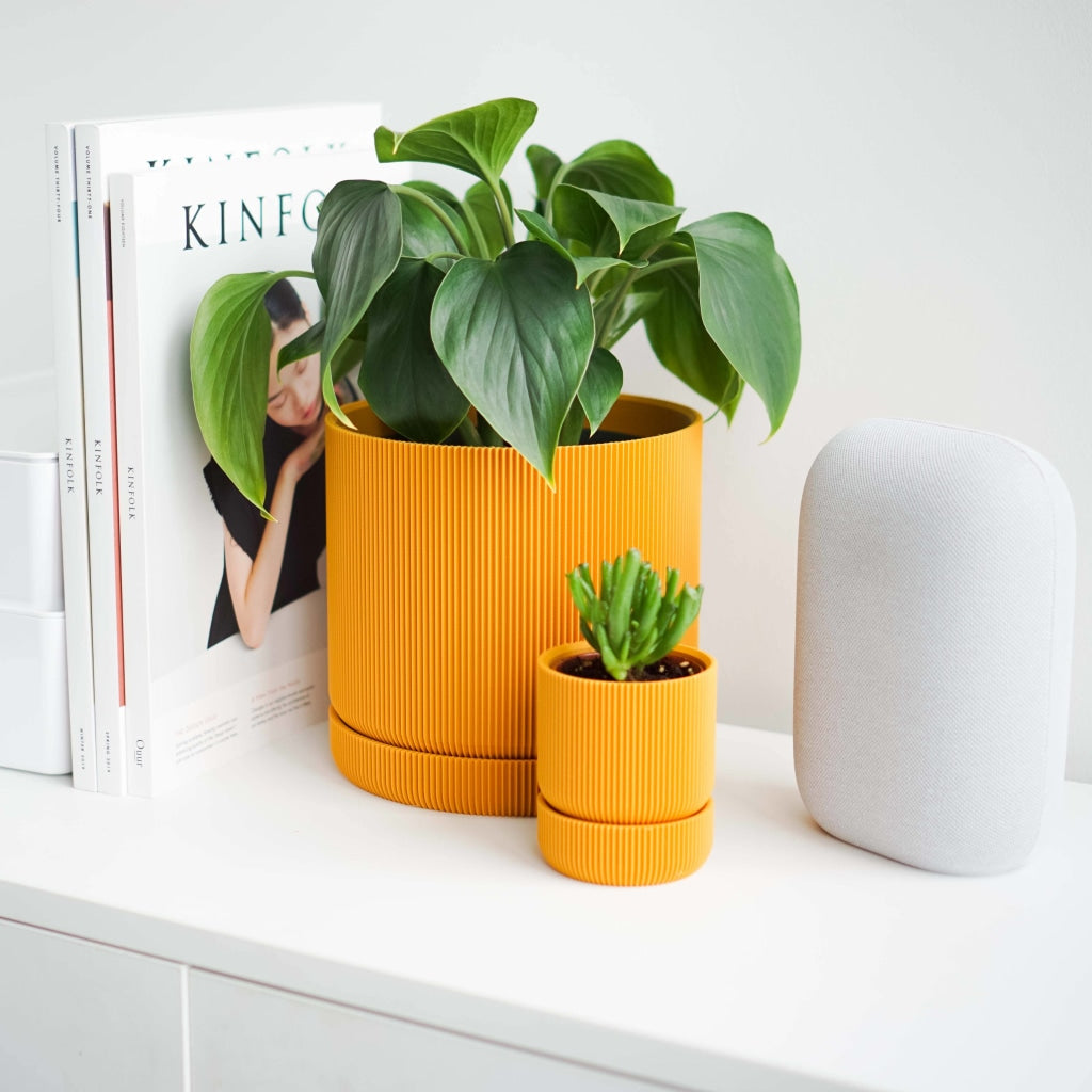 Conifer Homewares - Hemlock Planter | Plant Party