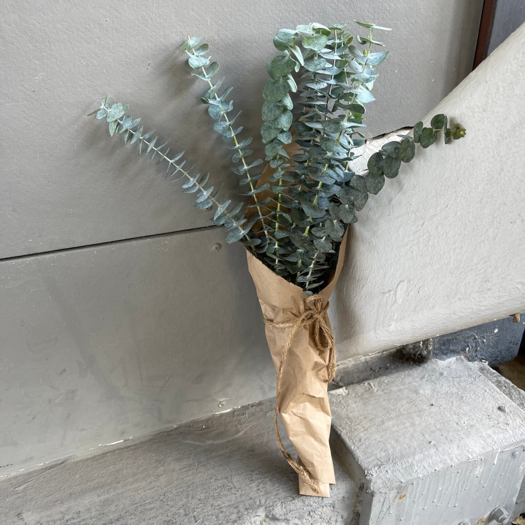 Eucalyptus bundle | Plant Party