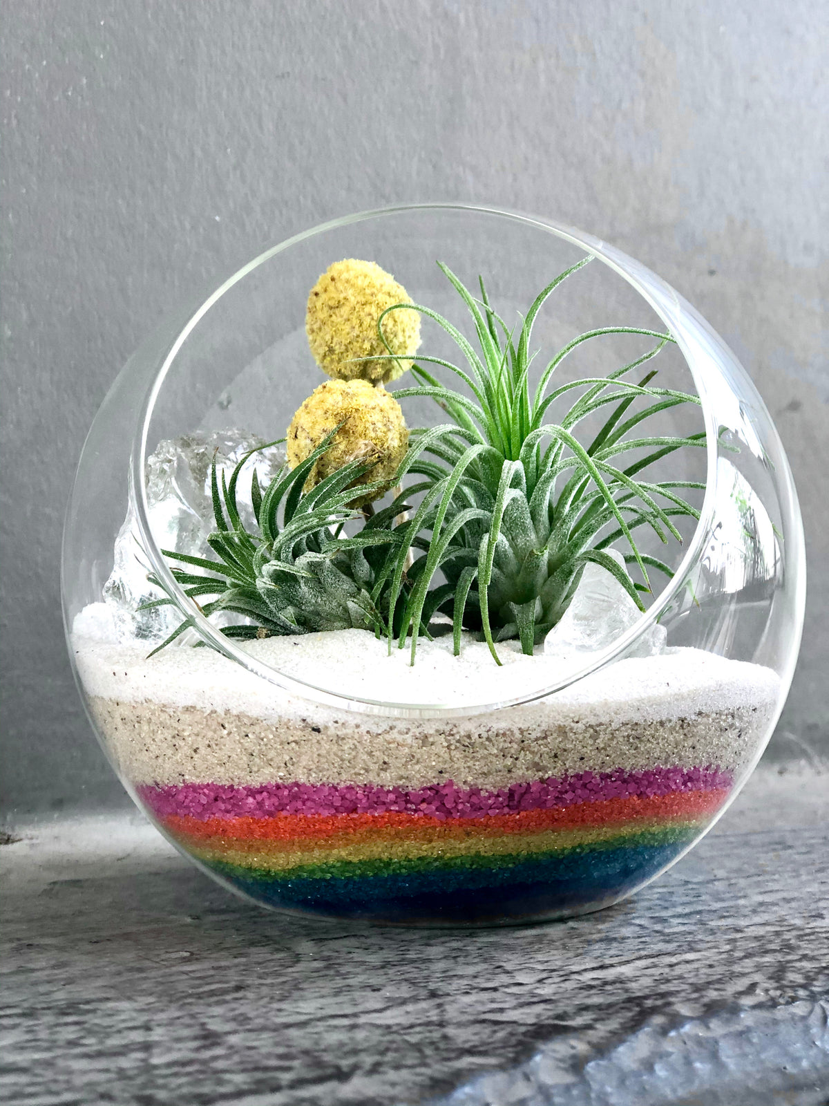 Rainbow Tilly Crystal Garden | Plant Party