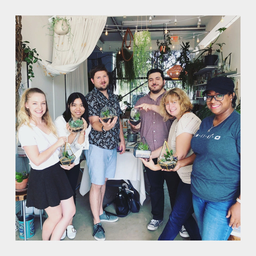 Plant Party for Groups | Plant Party