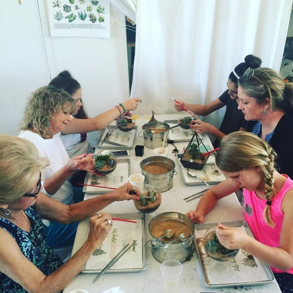 Plant Party for Groups | Plant Party